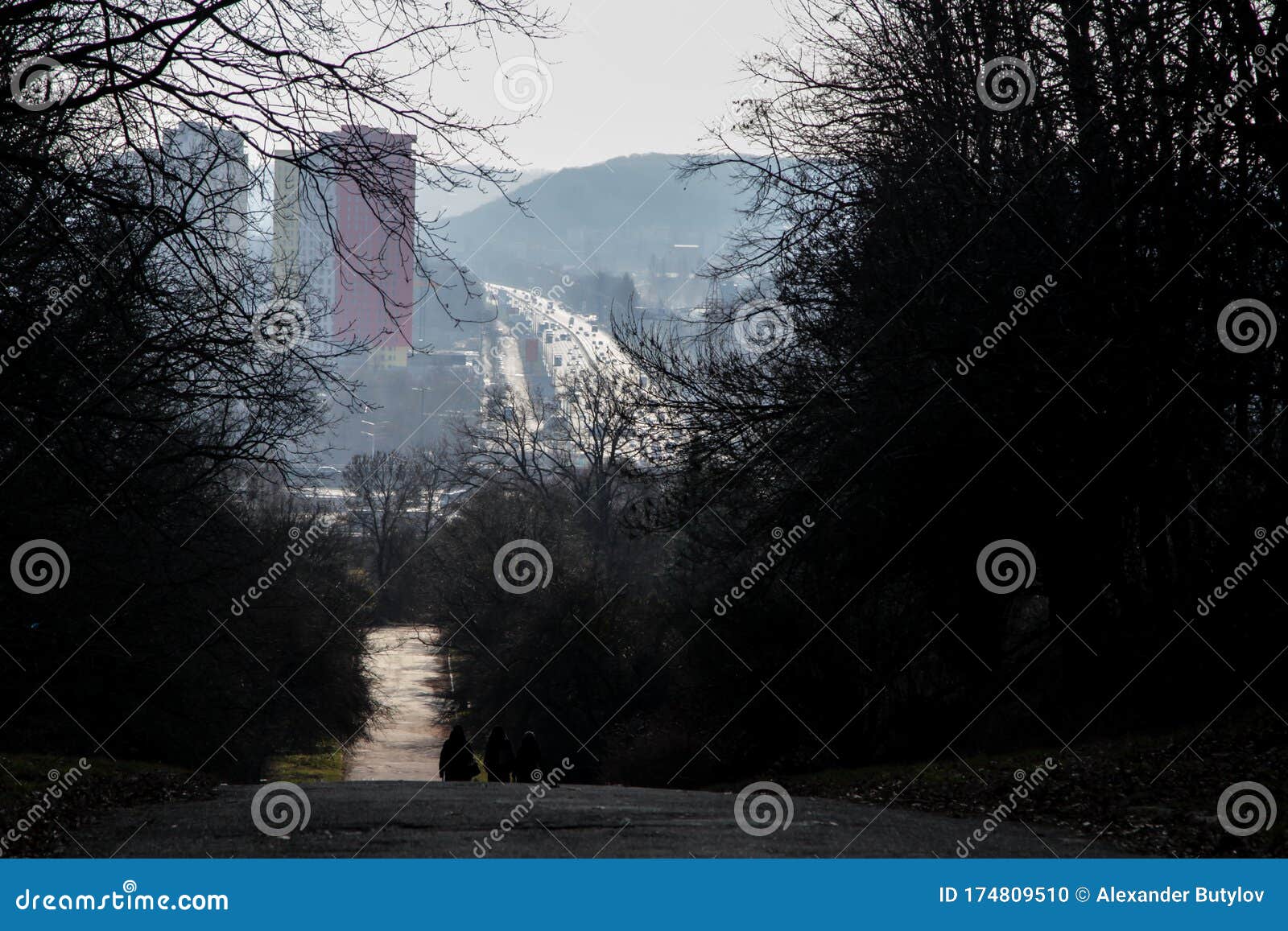 The Track in the Spring Fruit Garden Stock Photo - Image of fruit, bush ...
