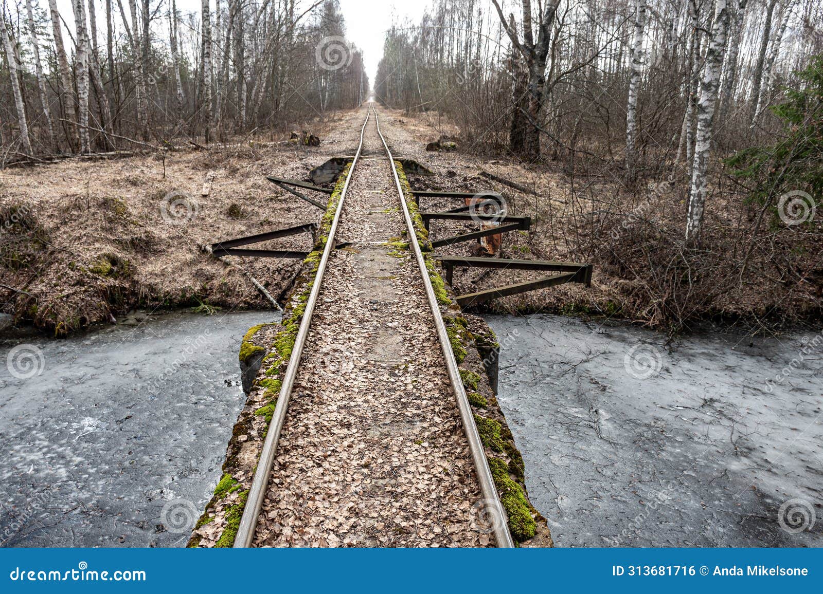 Track in the Swamp, Peat Transportation, Swamp Ditch in Spring ...