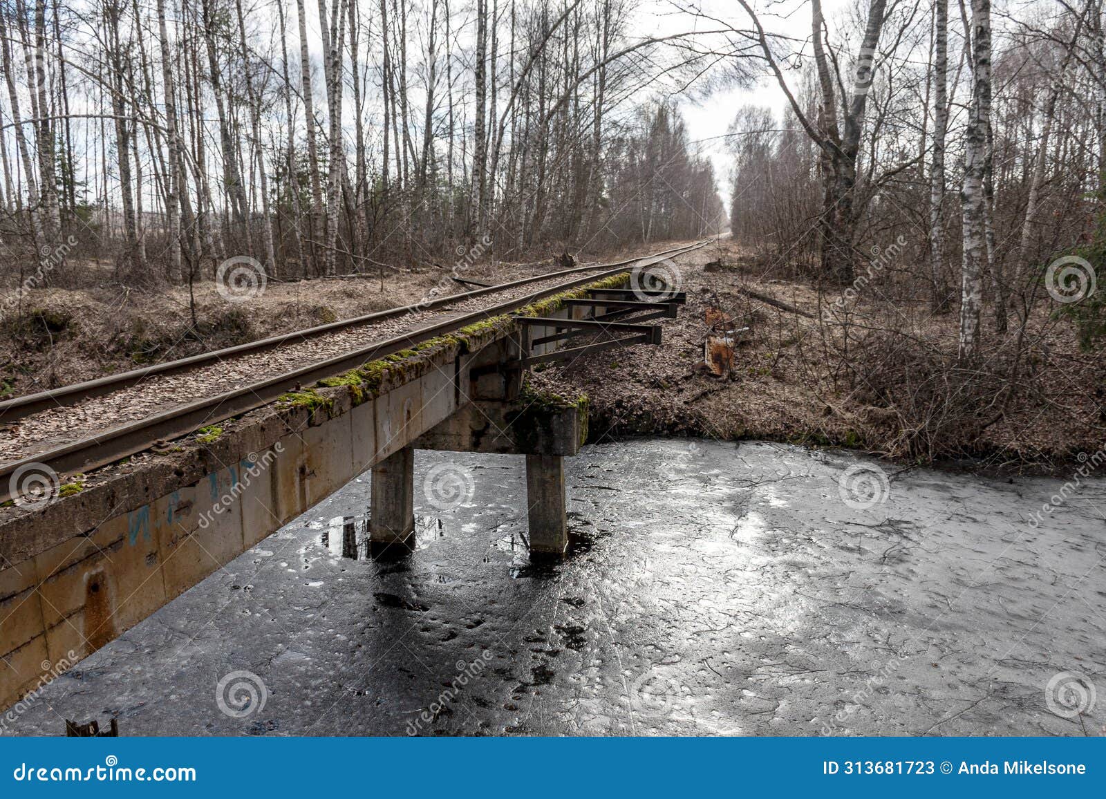 Track in the Swamp, Peat Transportation, Swamp Ditch in Spring ...