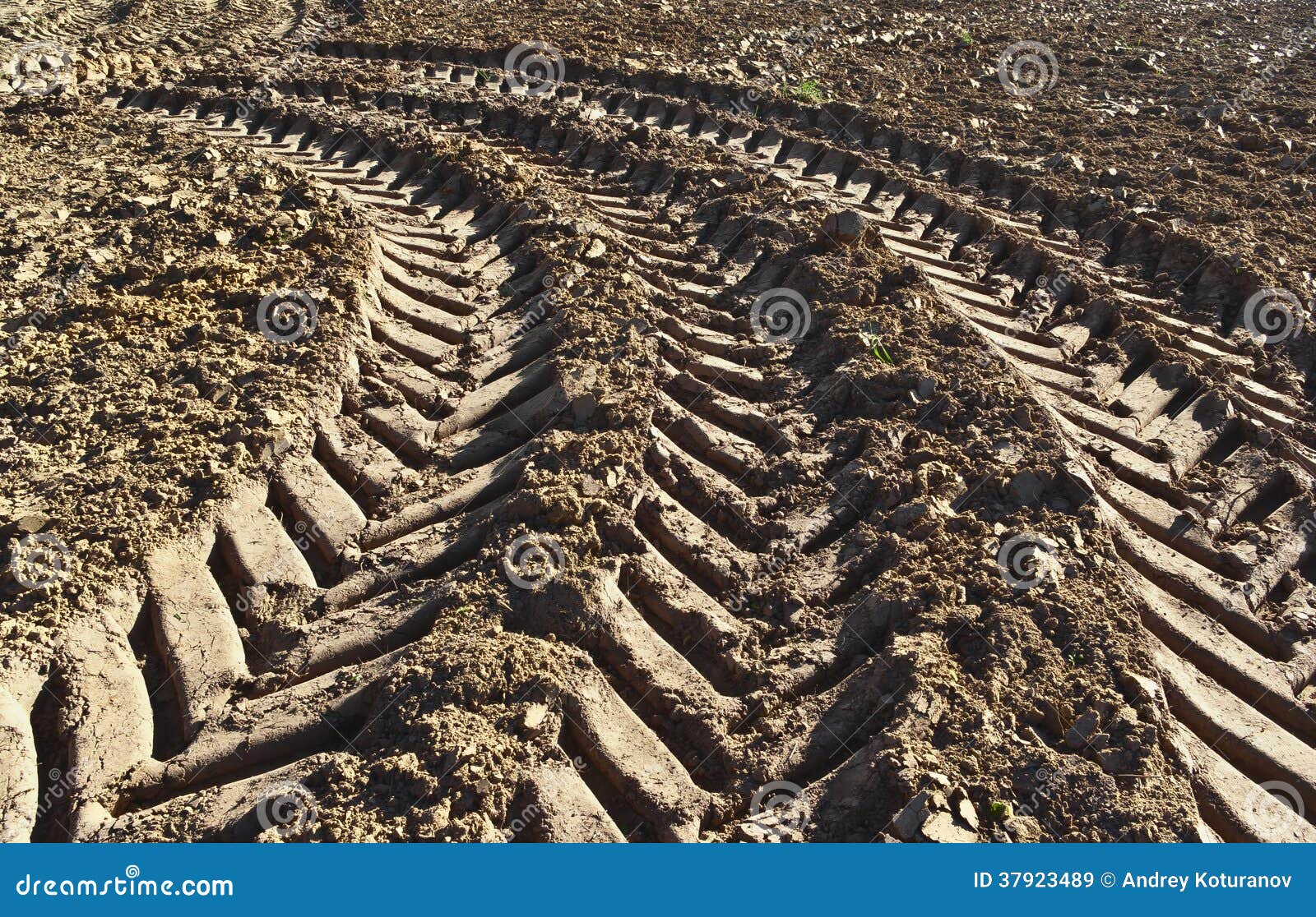 Track of a tractor stock image. Image of texture, spring - 37923489