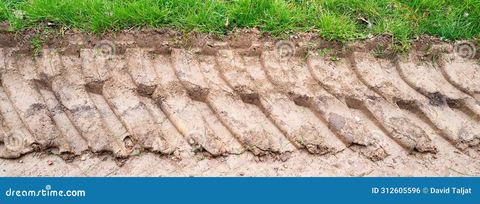 Track of tractor wheels stock photo. Image of path, farmland - 312605596