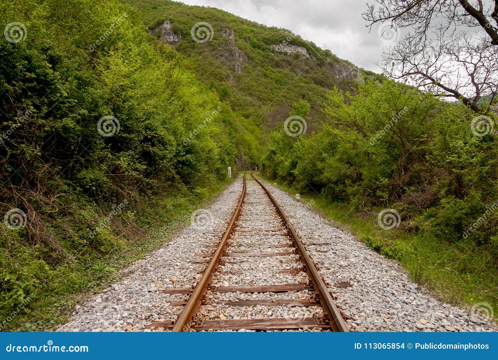 Track, Transport, Path, Rail Transport Picture. Image: 113065854