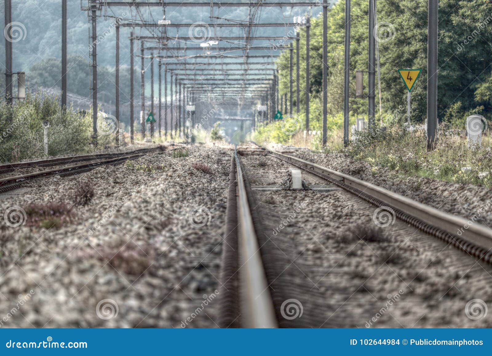 Track, Transport, Rail Transport, Train Picture. Image: 102644984