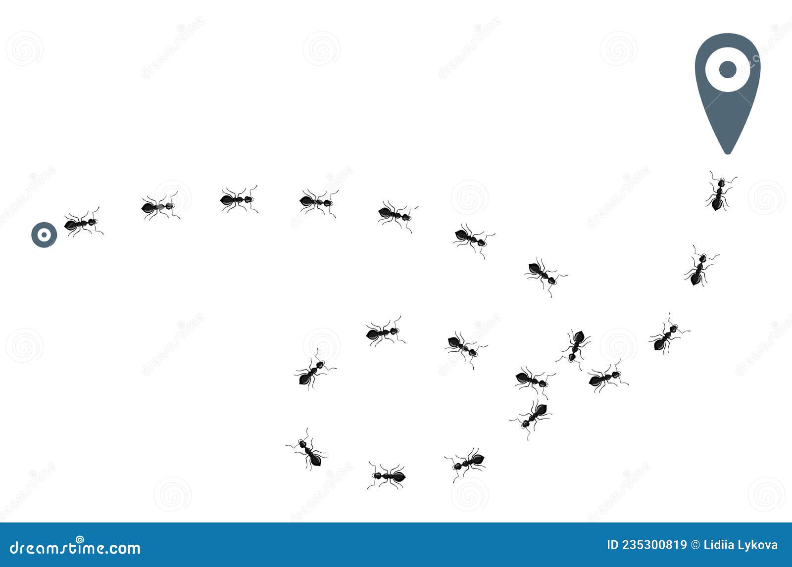 Tracking Ants Colony Location By Pest Control. Road Path Of Chaotic ...