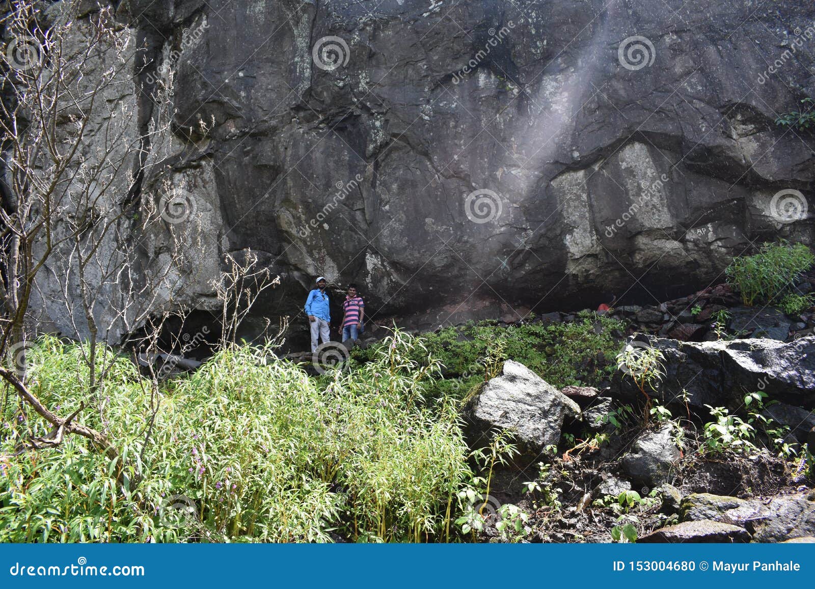 Tracking of fort editorial image. Image of preeti, flowers - 153004680