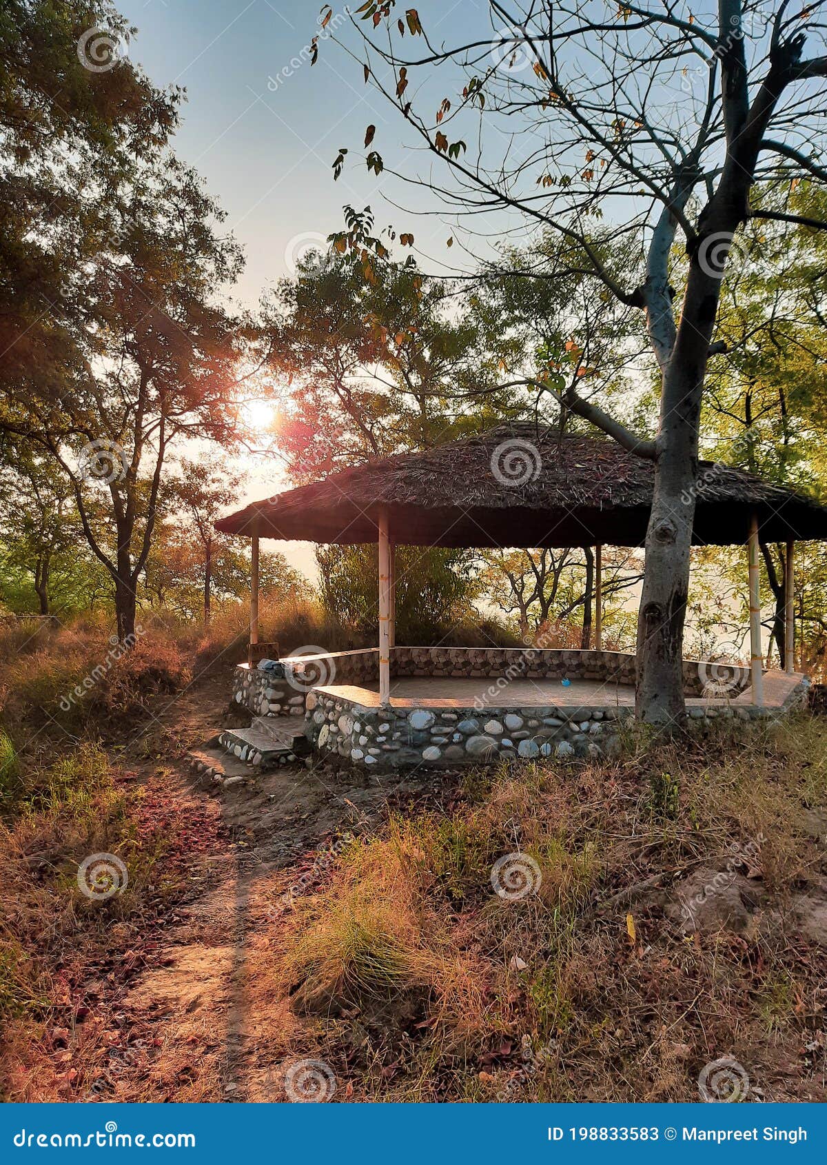 Tracking Point in Forest stock image. Image of forest - 198833583