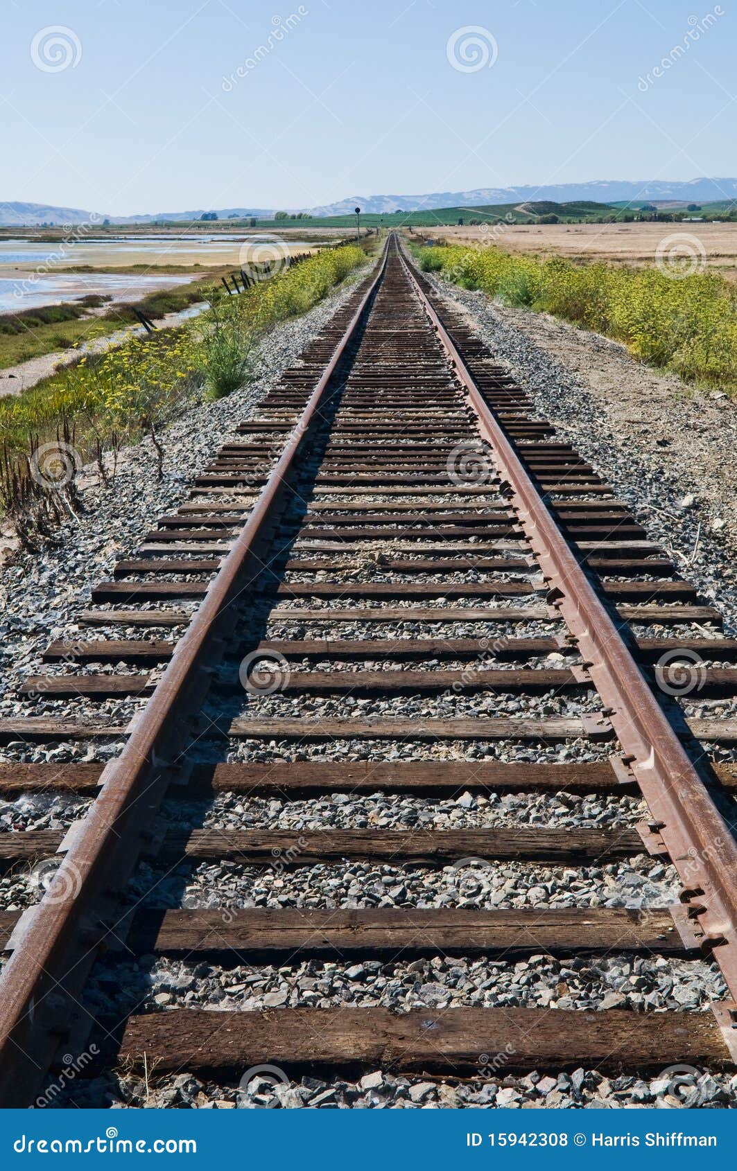 Tracks stock photo. Image of napa, california, train - 15942308