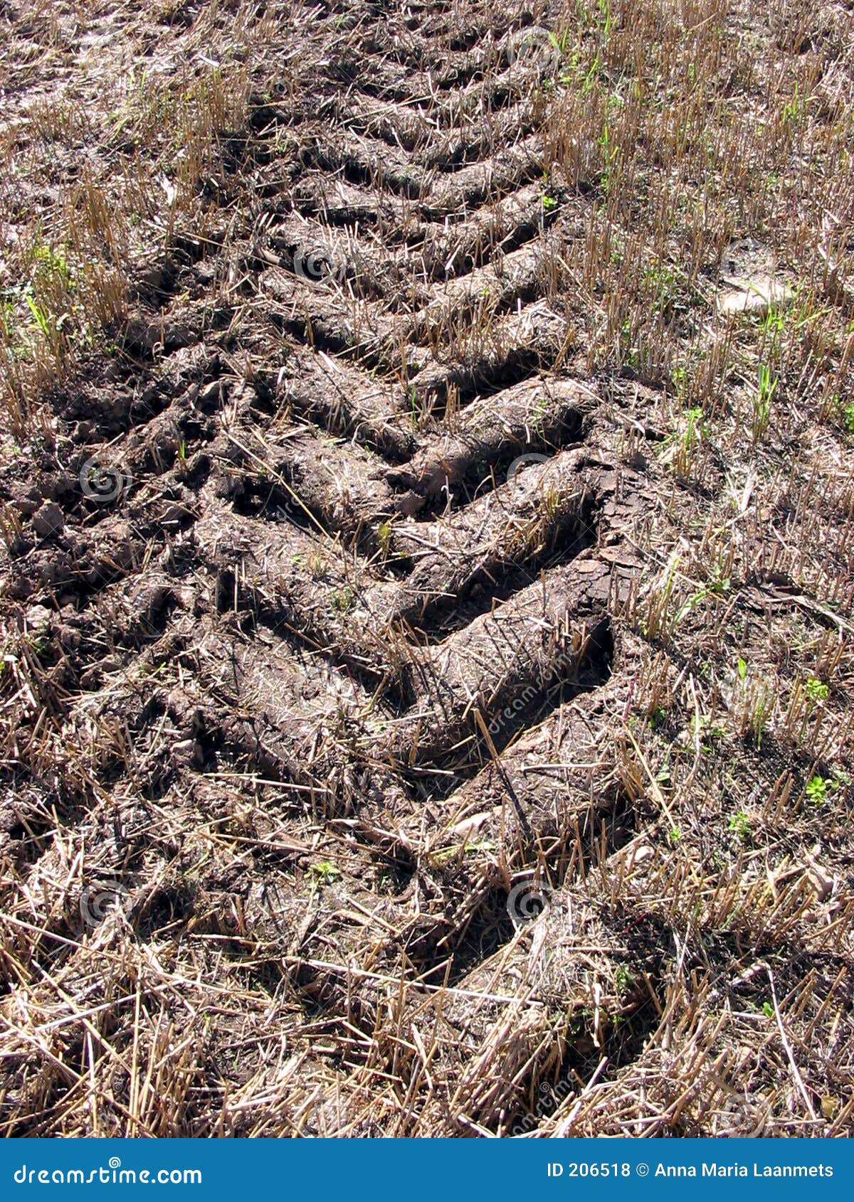 Tracks stock photo. Image of straw, harvesting, cultivation - 206518