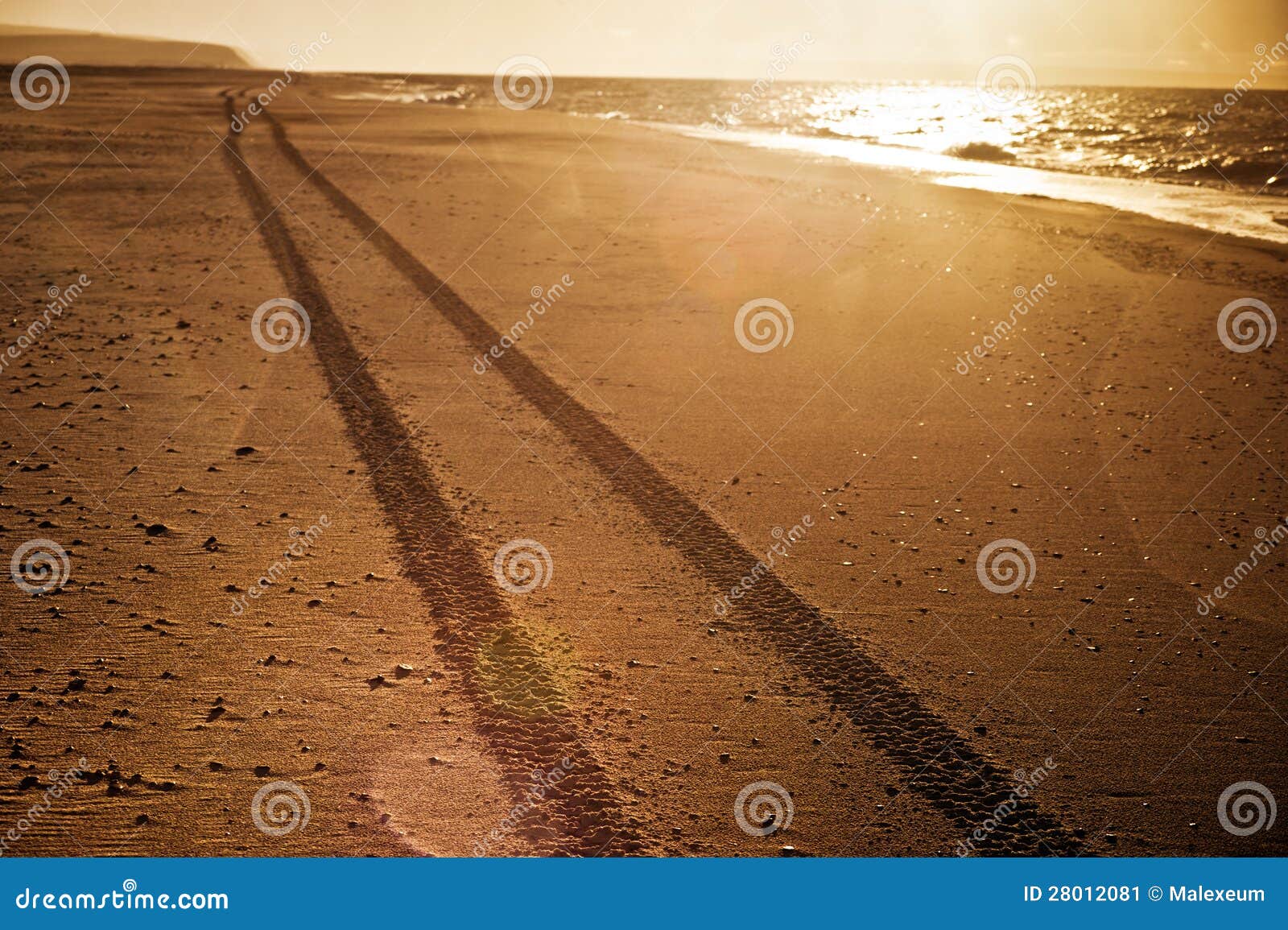 Tracks on the beach stock image. Image of terrain, coastline - 28012081