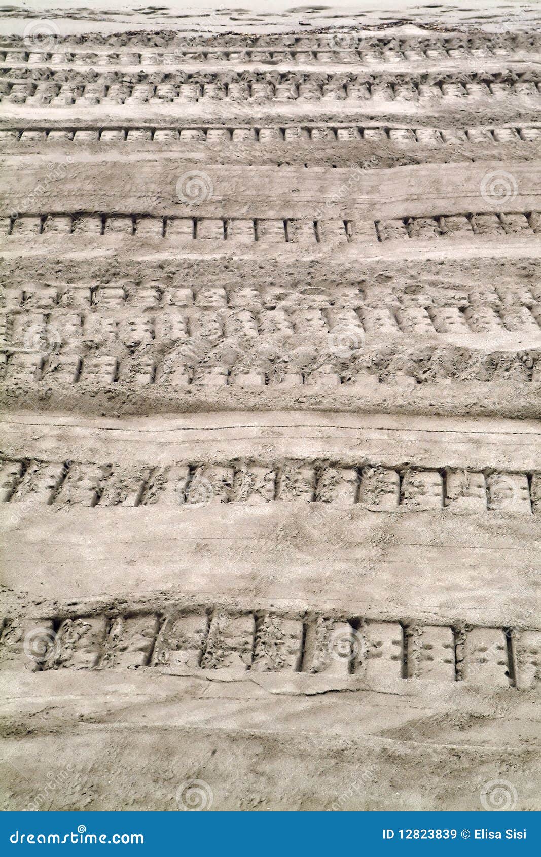 Tracks of Caterpillar on the Sand Stock Image - Image of nature, beach ...