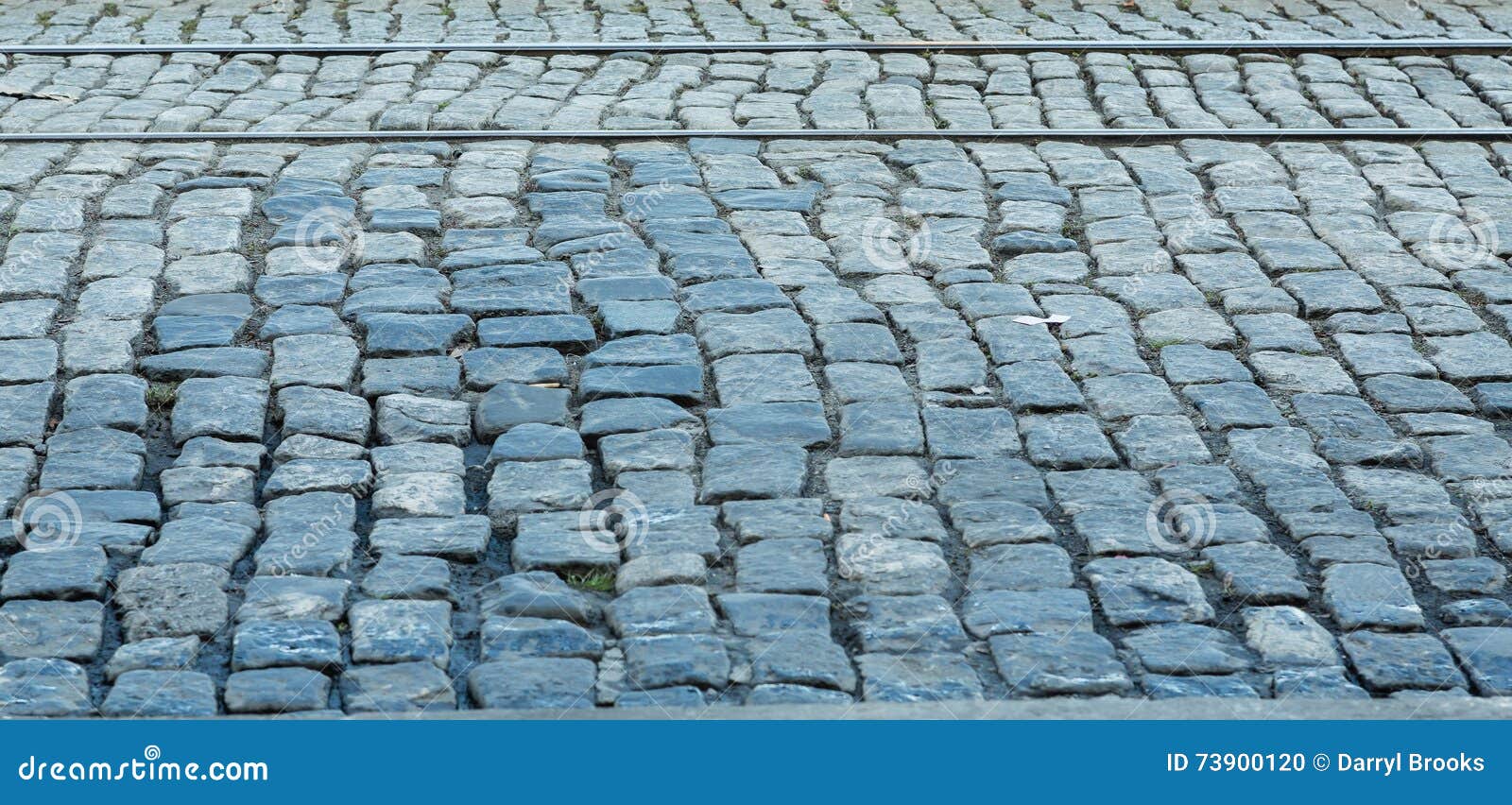 Tracks in Cobblestones stock photo. Image of road, track - 73900120