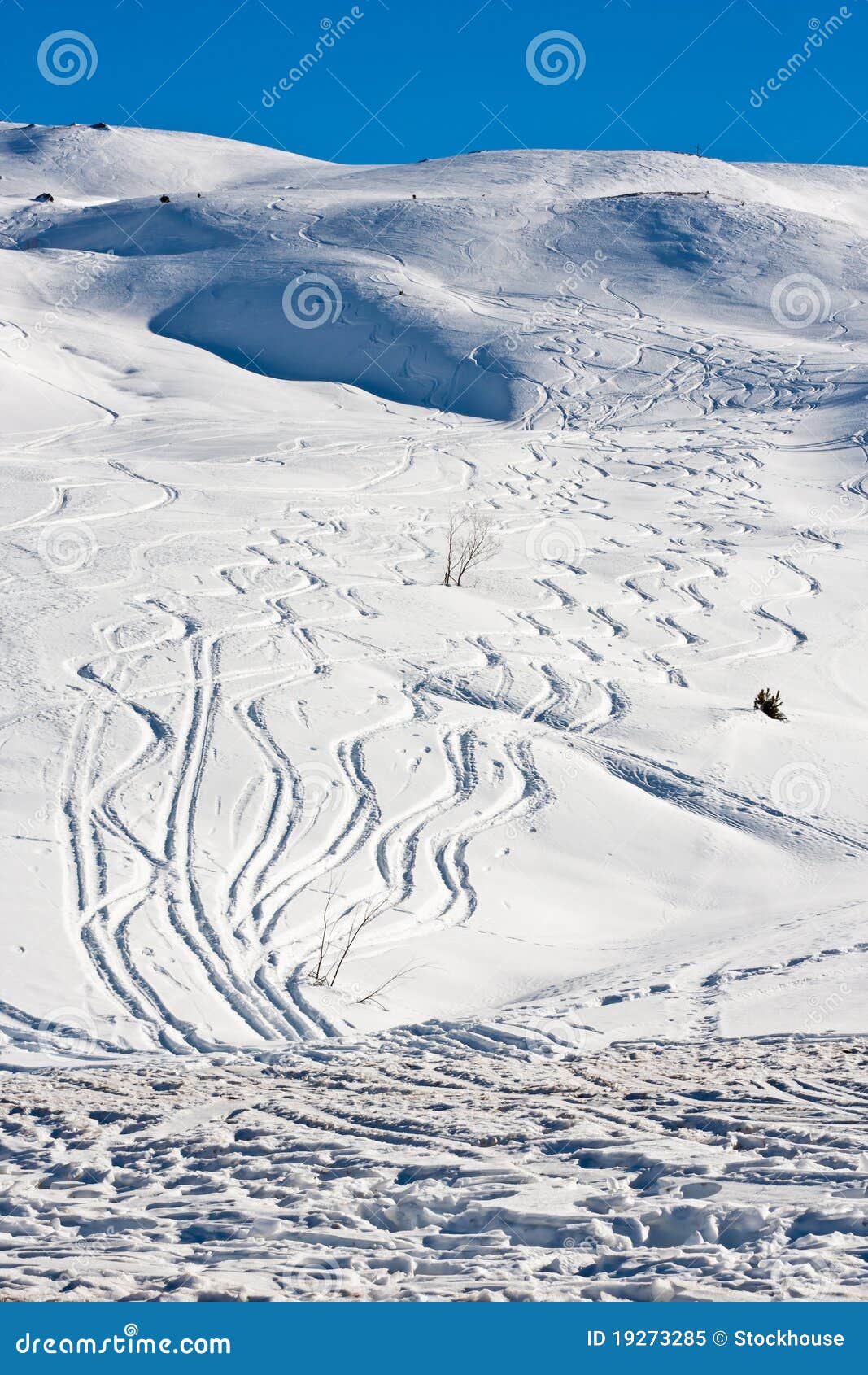 Tracks in creamy snowscape stock image. Image of nice - 19273285