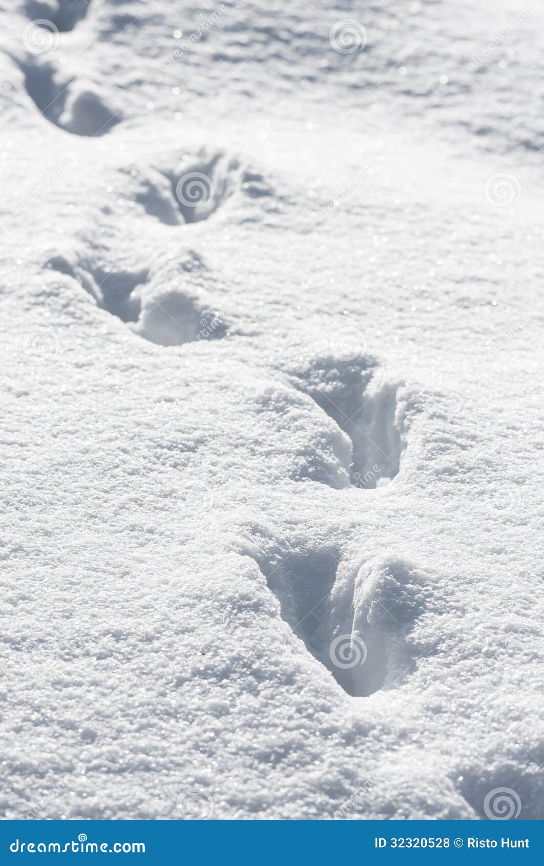Tracks in deep snow stock photo. Image of foot, closeup - 32320528
