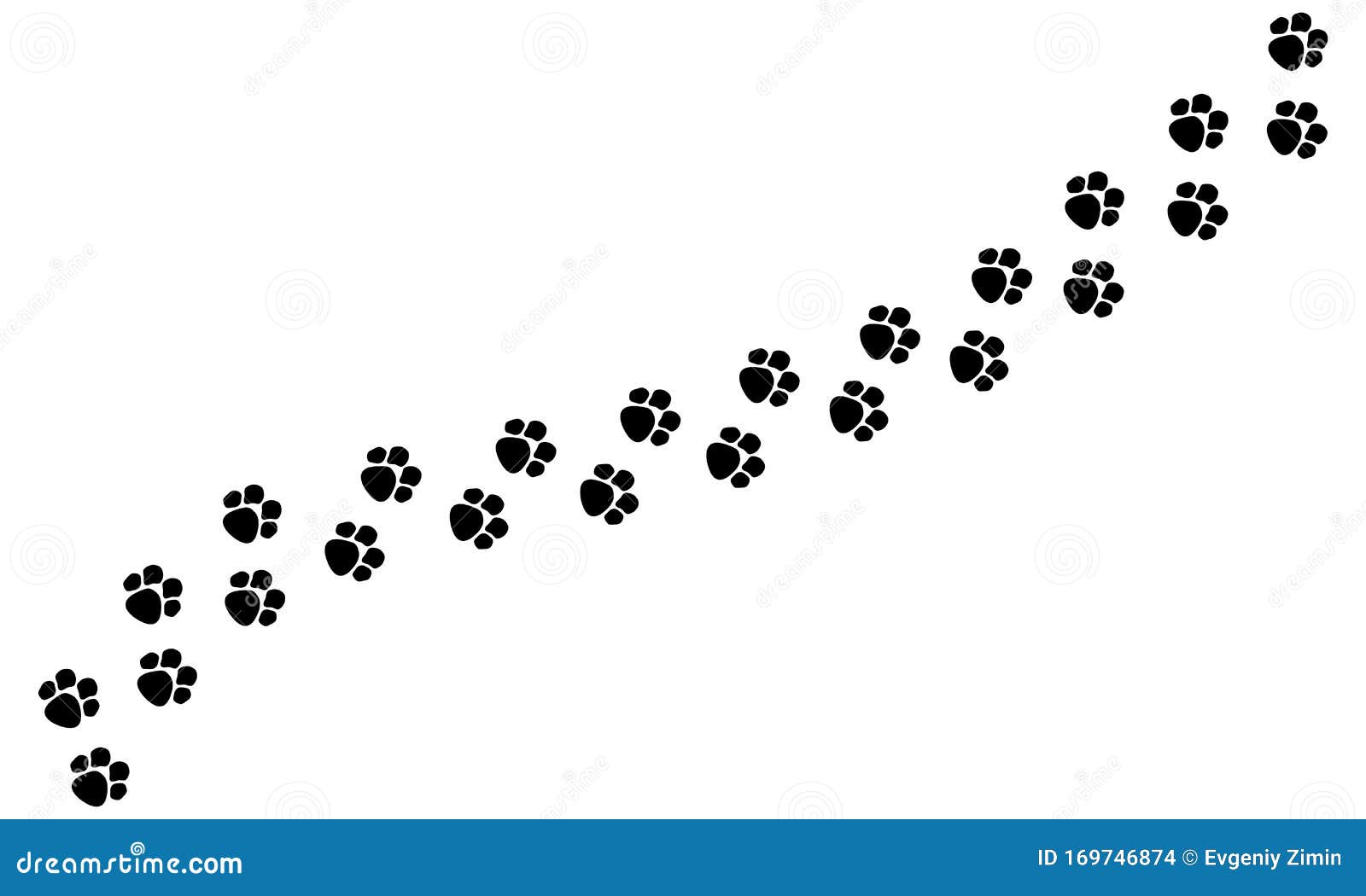 Tracks of Dog or Cat Paws Isolated Stock Illustration - Illustration of ...