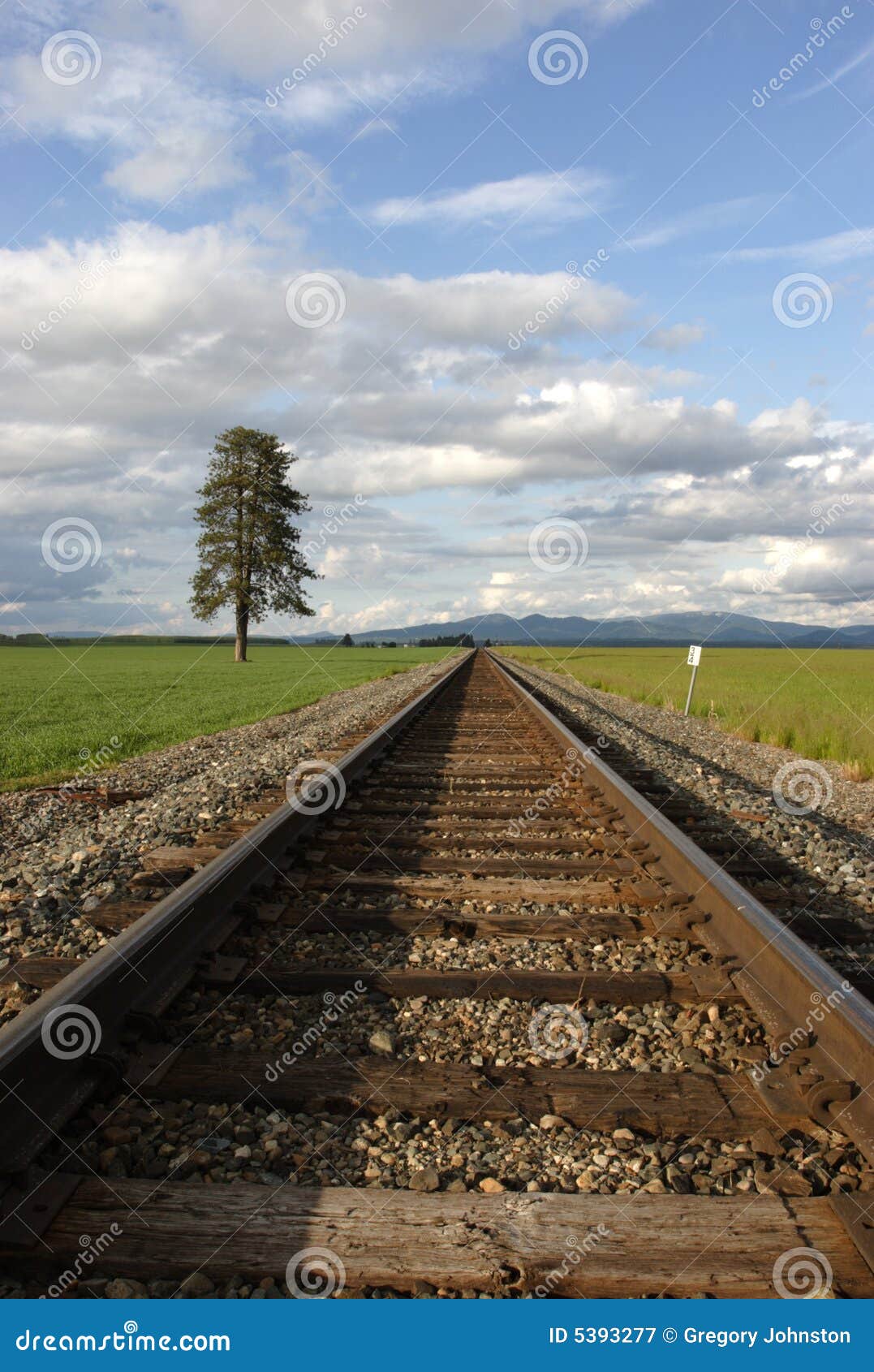 Tracks through the field. stock image. Image of perspective - 5393277