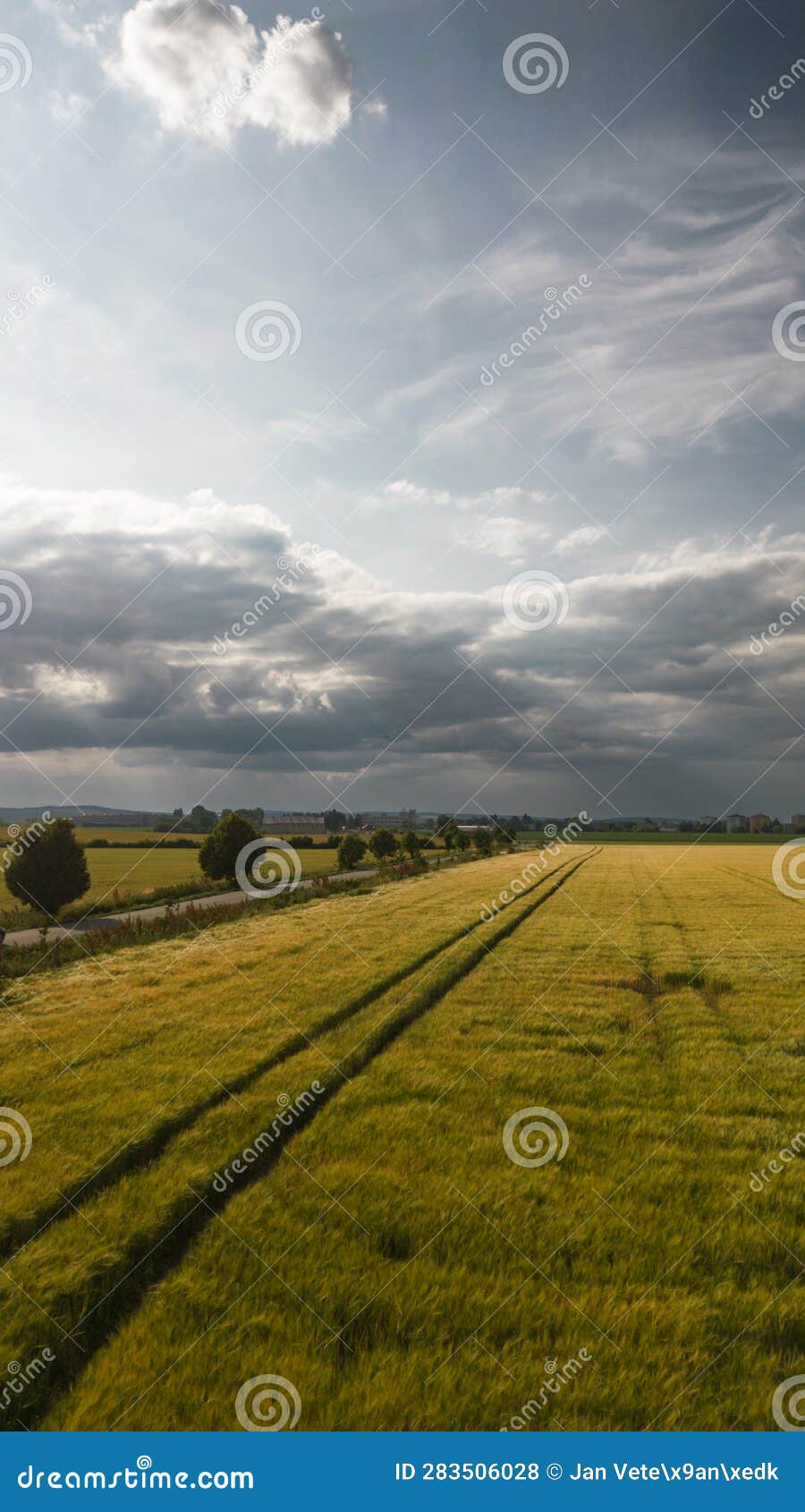Tracks in the Field after the Tractor, Path between Fields, Trees Stock ...