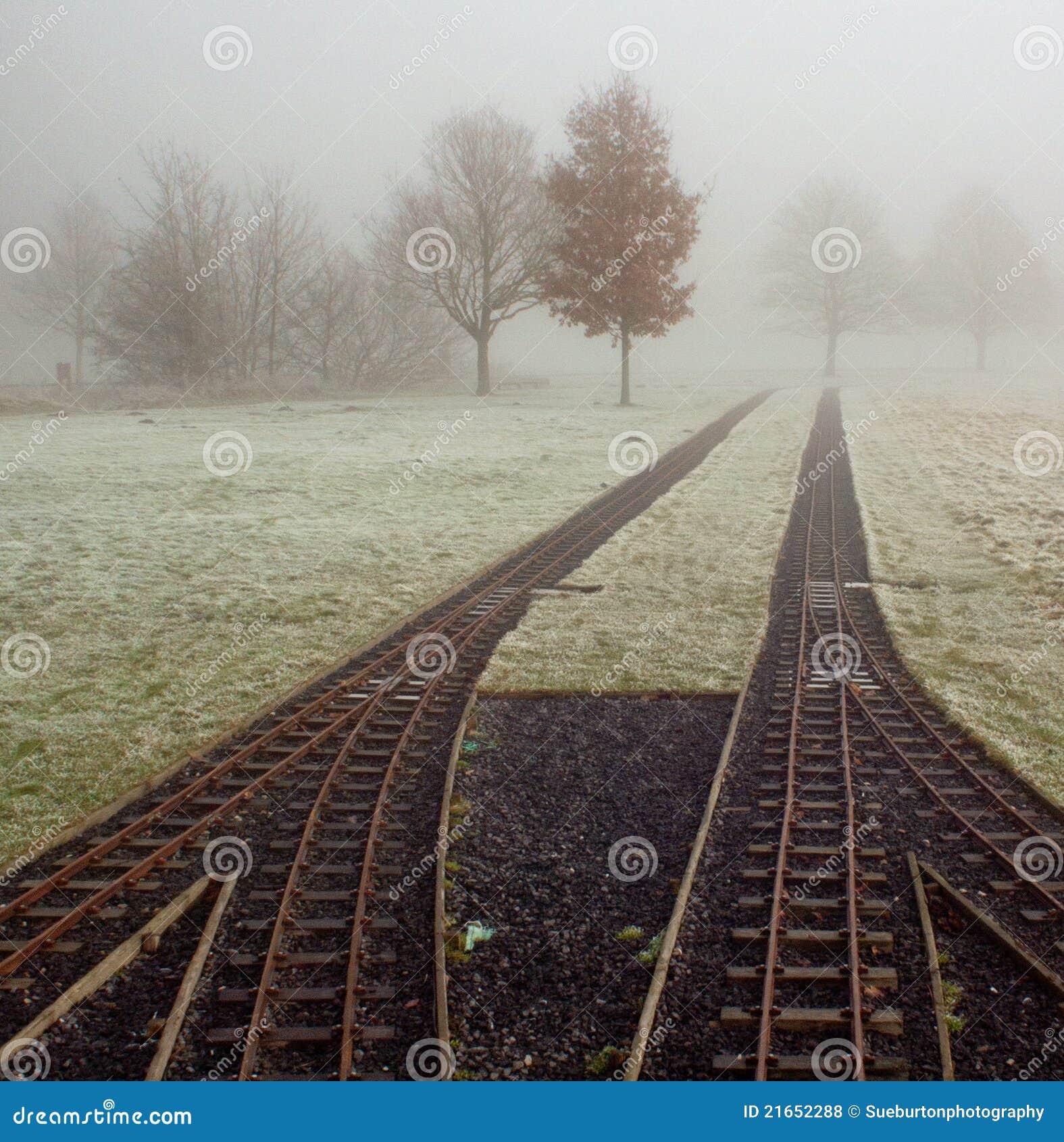 Tracks in the fog stock photo. Image of visibility, winter - 21652288