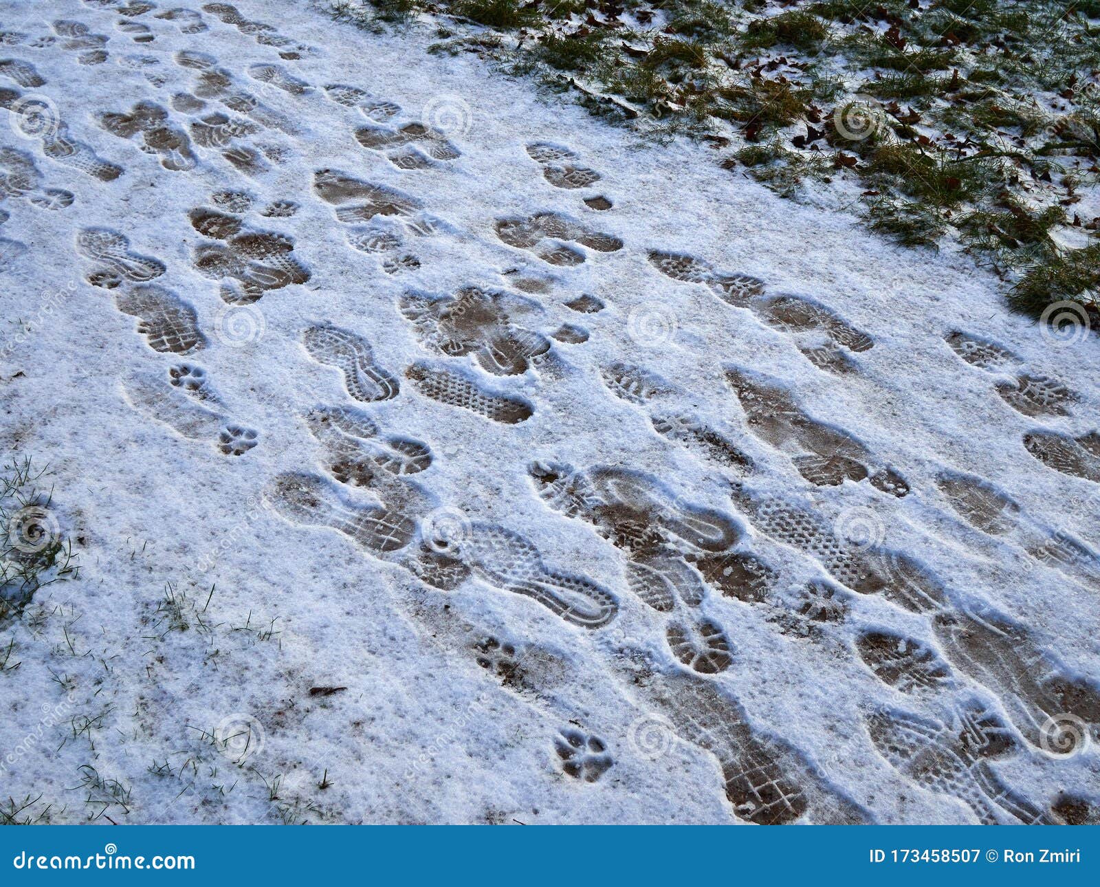 Tracks Footprint in the Snow Stock Image - Image of adventure, nature ...