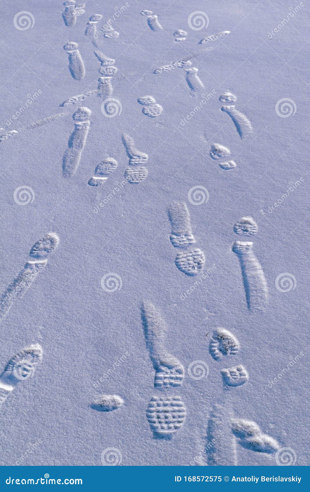 Tracks on Fresh White Snow. Closeup. Light Gray and White Background ...