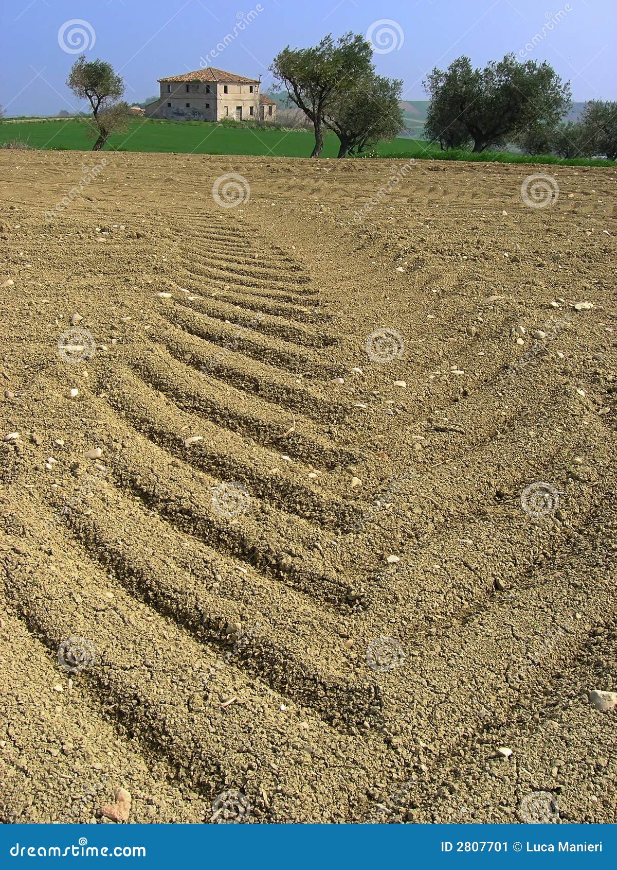 Tracks on the ground stock image. Image of tree, cultivation - 2807701