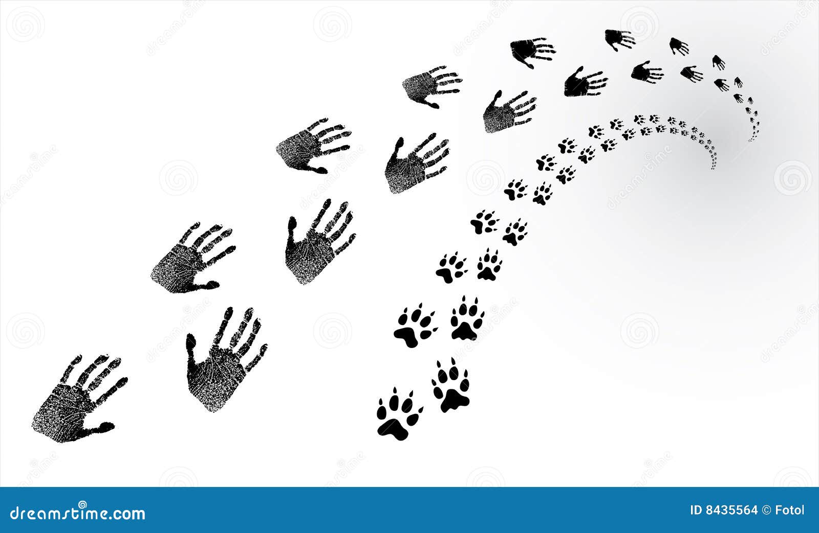 Tracks of the Human and Animal Stock Illustration - Illustration of ...