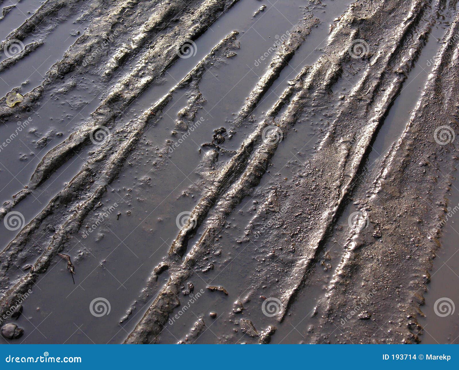 Tracks in mud stock photo. Image of dirt, grunge, angle - 193714