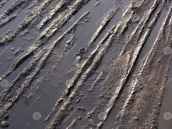 Tracks in mud stock photo. Image of dirt, grunge, angle - 193714