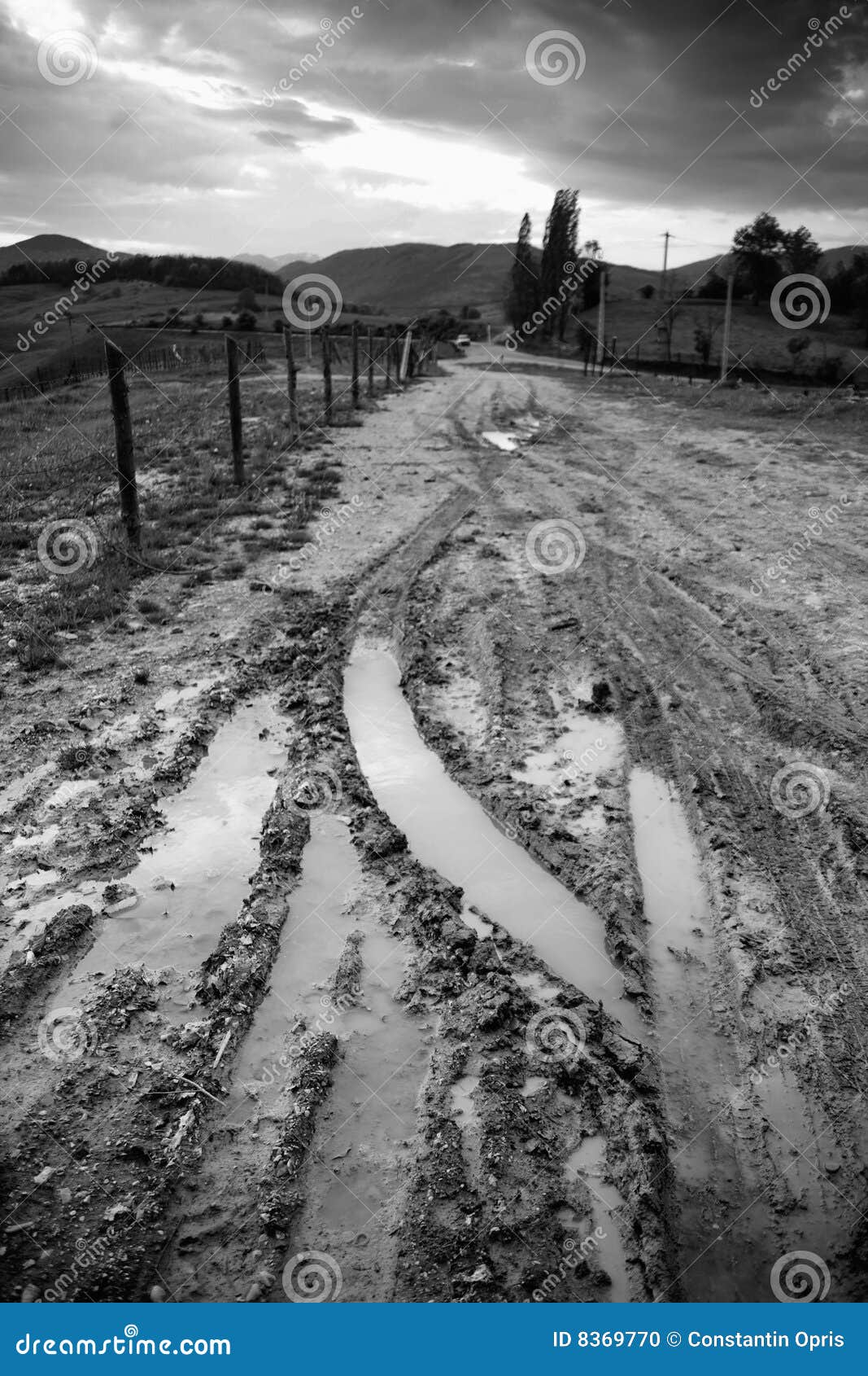 Tracks in mud stock photo. Image of receding, nature, outdoors - 8369770