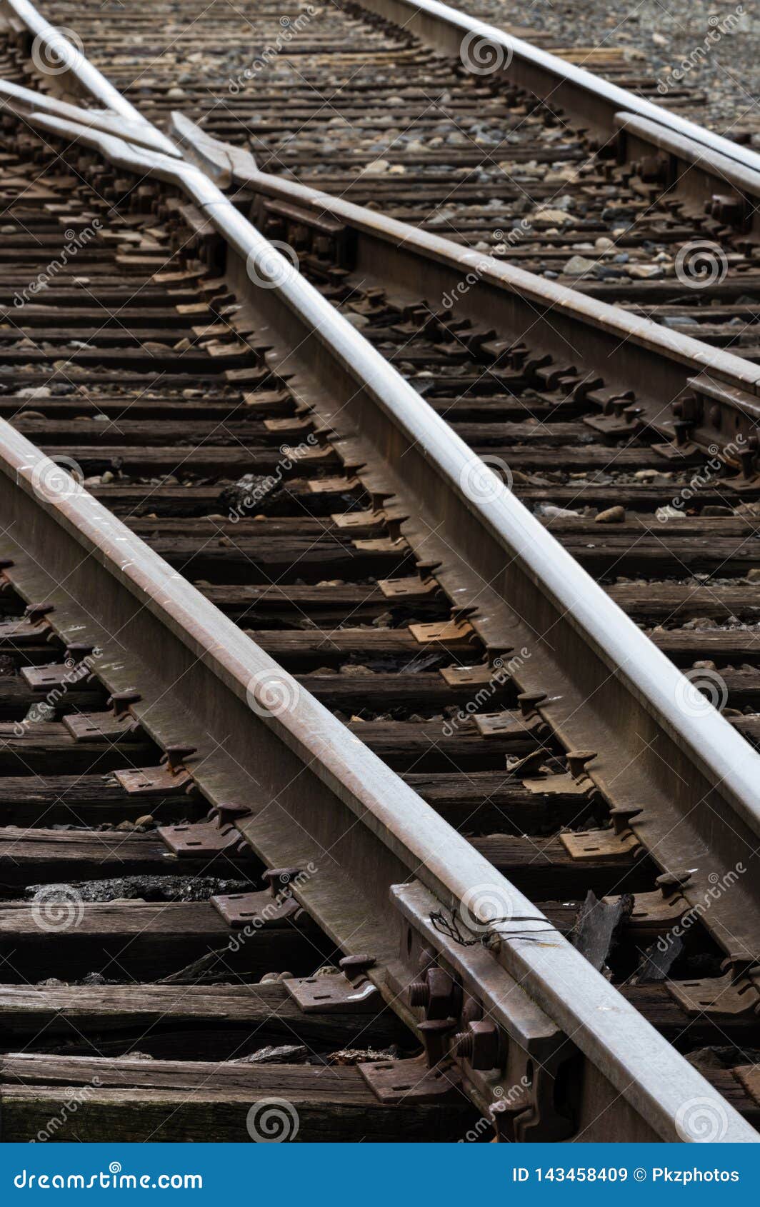 Tracks stock image. Image of oregon, confused, tracks - 143458409