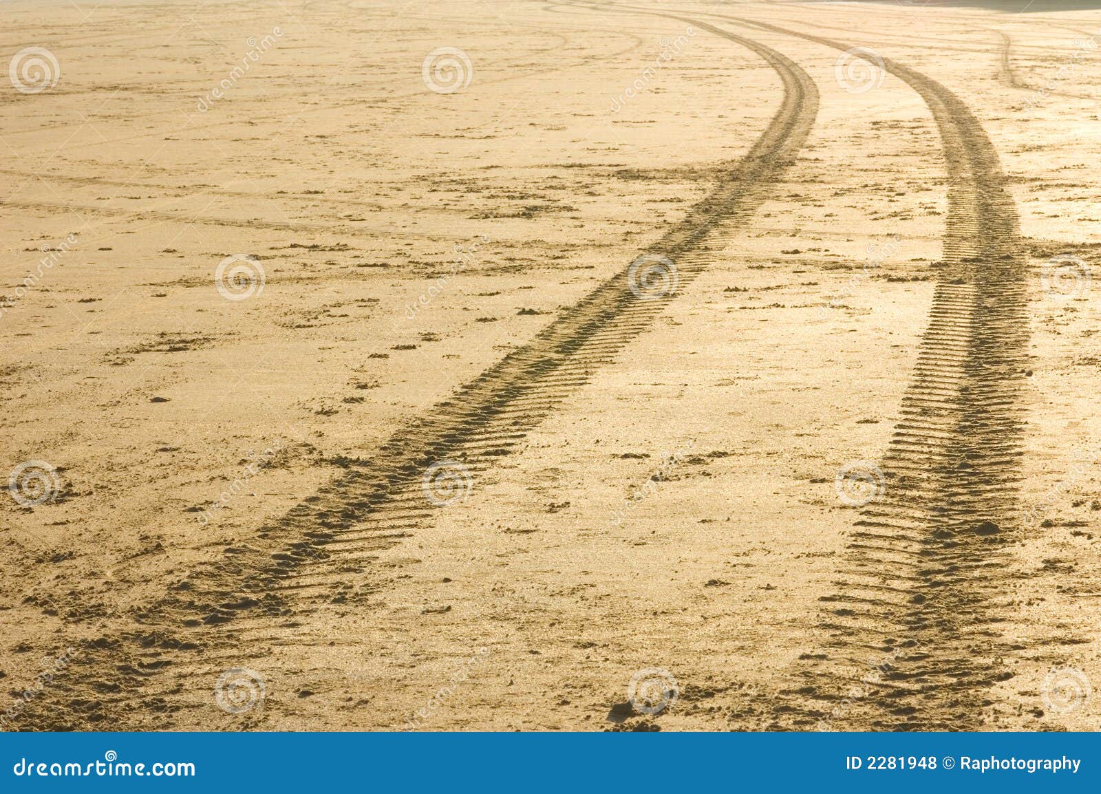 Tracks in the sand stock photo. Image of sport, ocean - 2281948