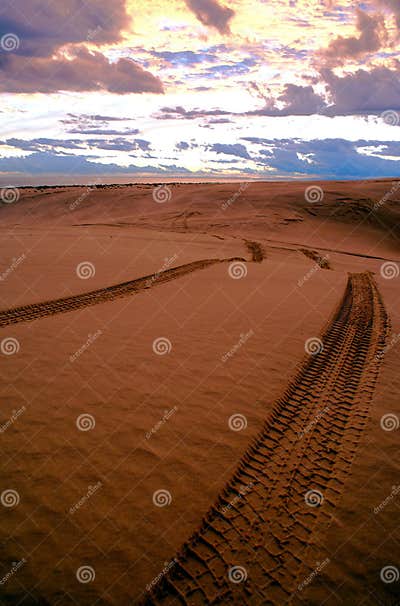 Tracks in sand stock photo. Image of calm, landscape, road - 4427914