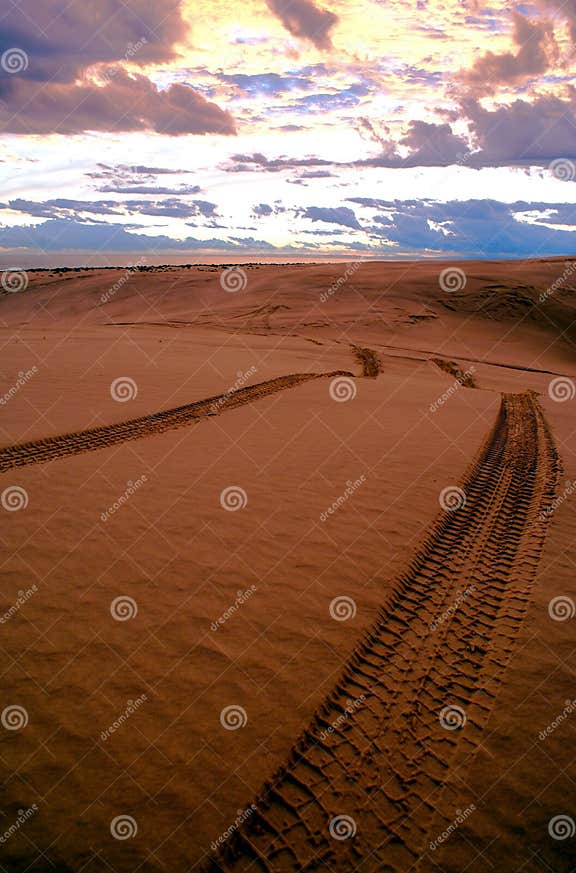 Tracks in sand stock photo. Image of calm, landscape, road - 4427914