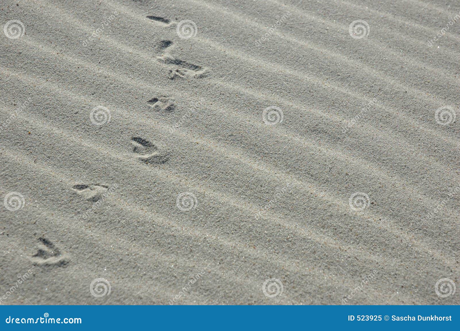 Tracks in the sand stock image. Image of sandripples, rippled - 523925