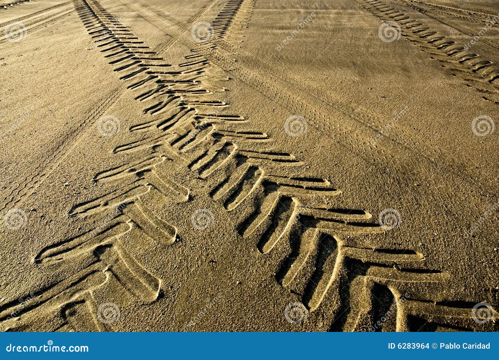 Tracks in the sand. stock photo. Image of natural, imprint - 6283964