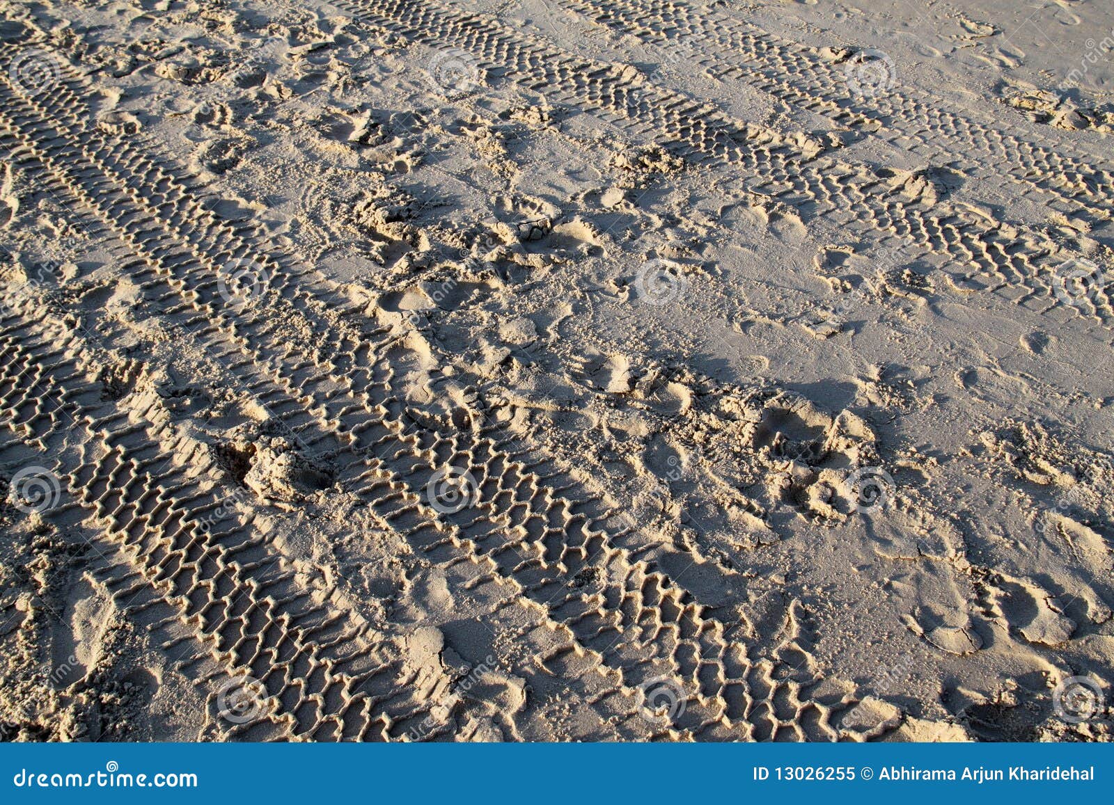 Tracks on sand in a beach stock image. Image of color - 13026255