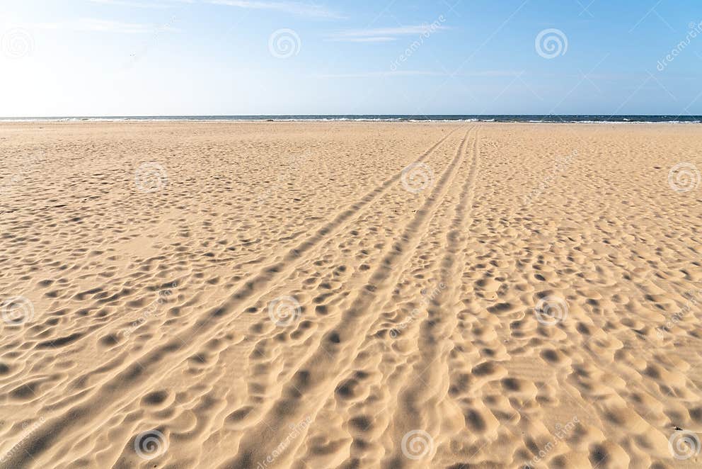 Tracks in the sand stock image. Image of transportation - 279532393