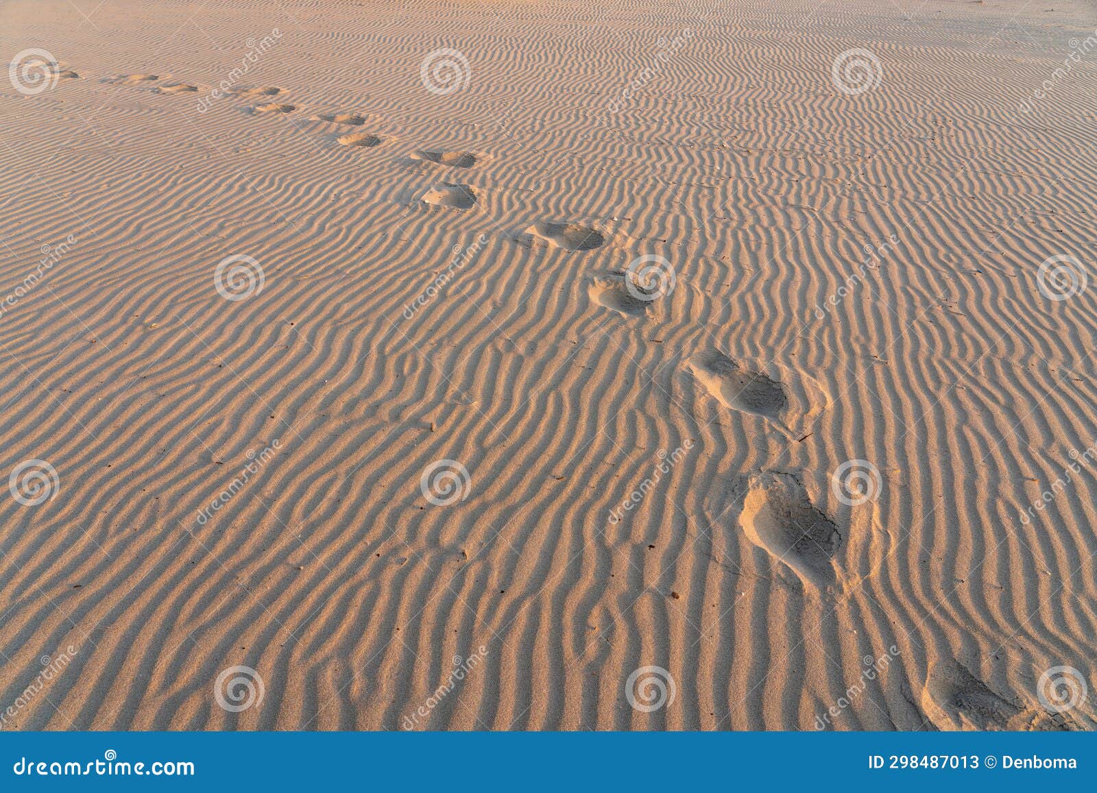Tracks in the sand stock image. Image of tracks, trail - 298487013