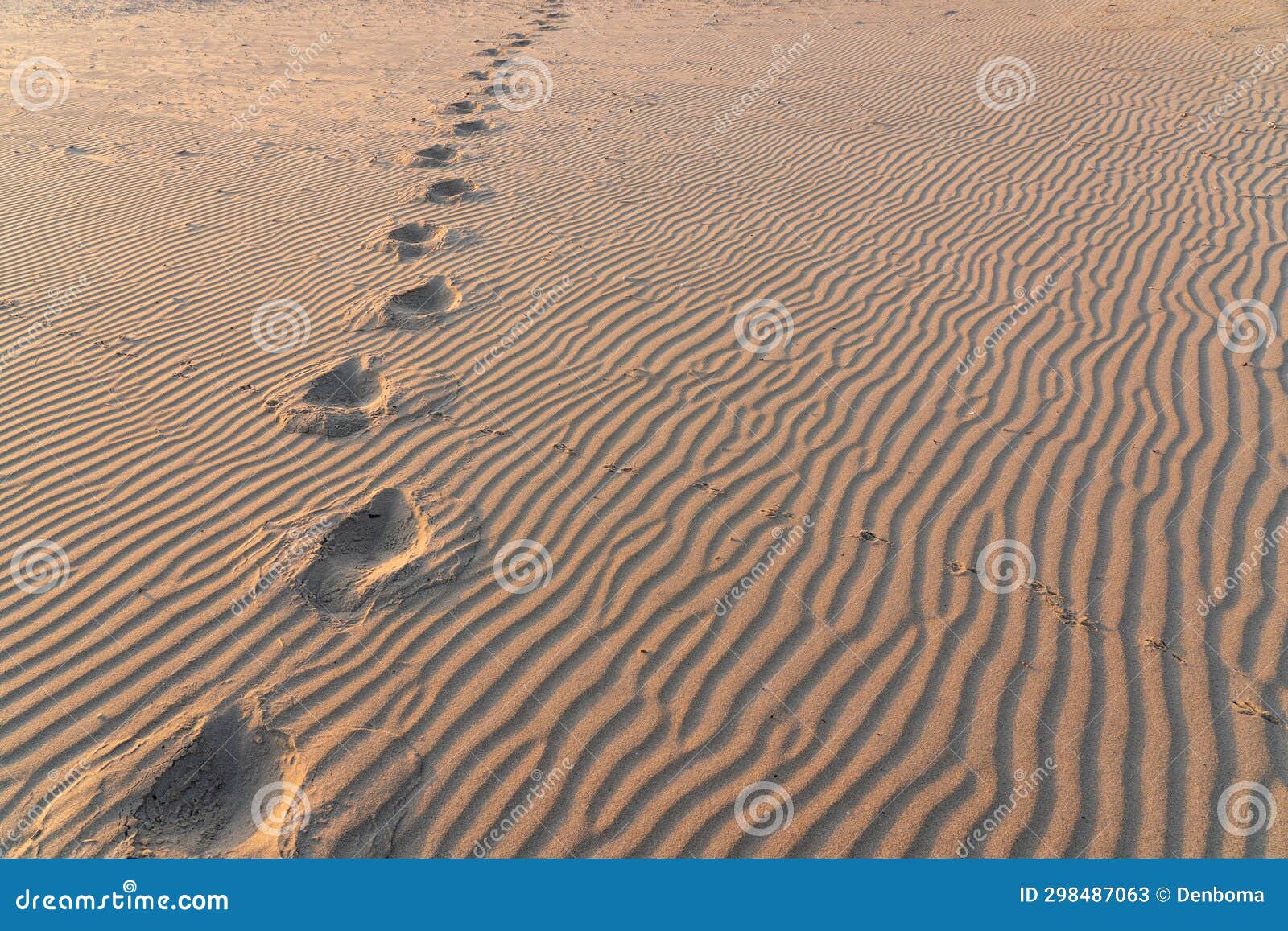 Tracks in the sand stock image. Image of pattern, perspective - 298487063