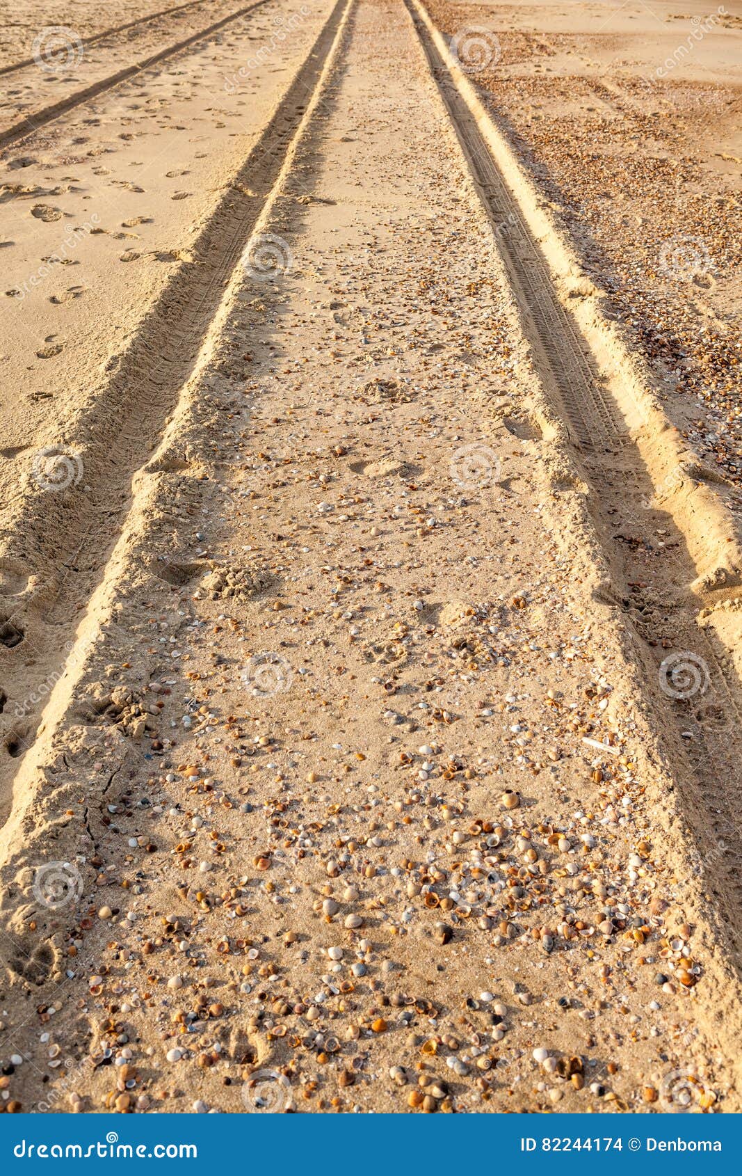 Tracks in the sand stock photo. Image of sand, tread - 82244174