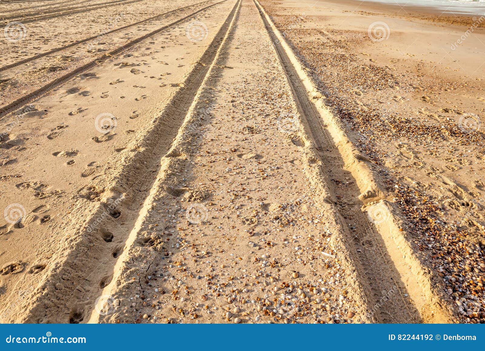Tracks in the sand stock photo. Image of nature, path - 82244192