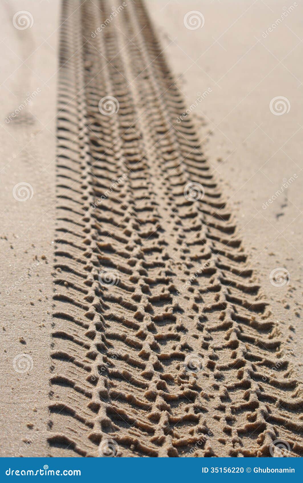 Tracks on Sand stock photo. Image of dune, brownish, sunny - 35156220