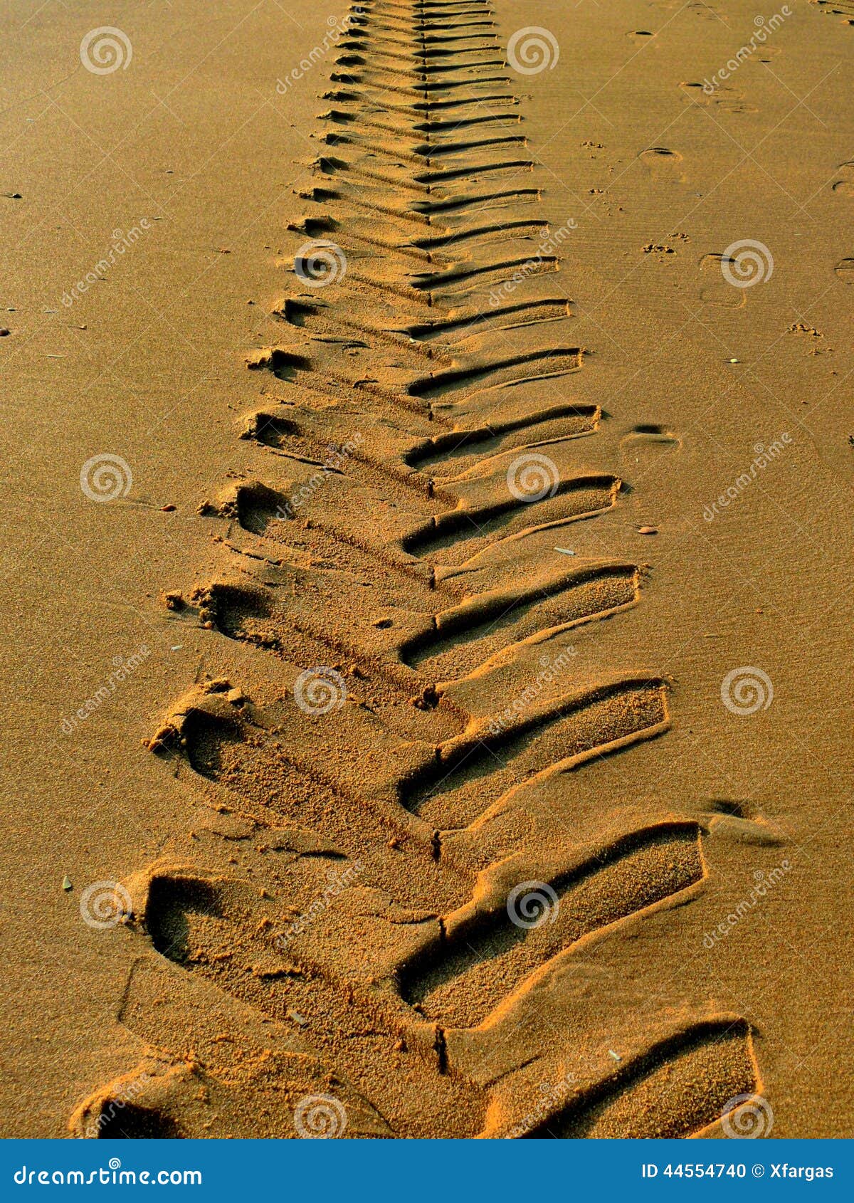 Tracks in the sand stock photo. Image of track, path - 44554740