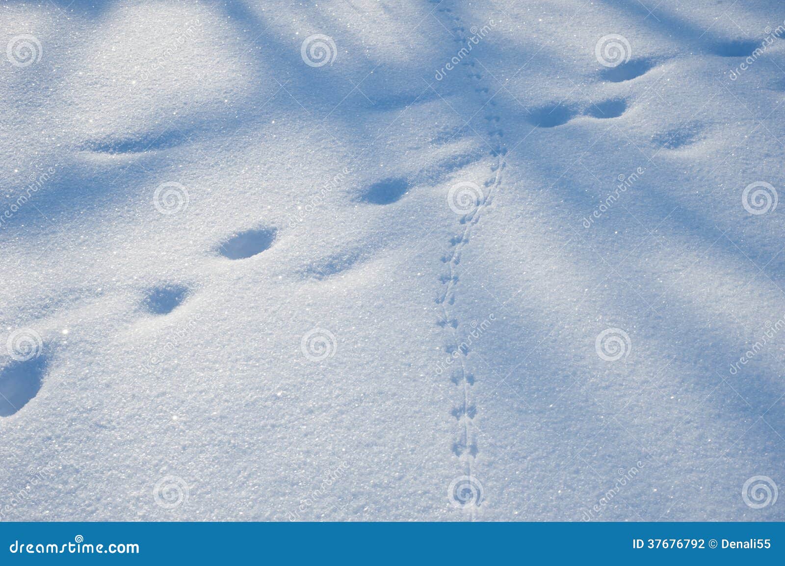 Tracks and shadows,winter stock photo. Image of season - 37676792