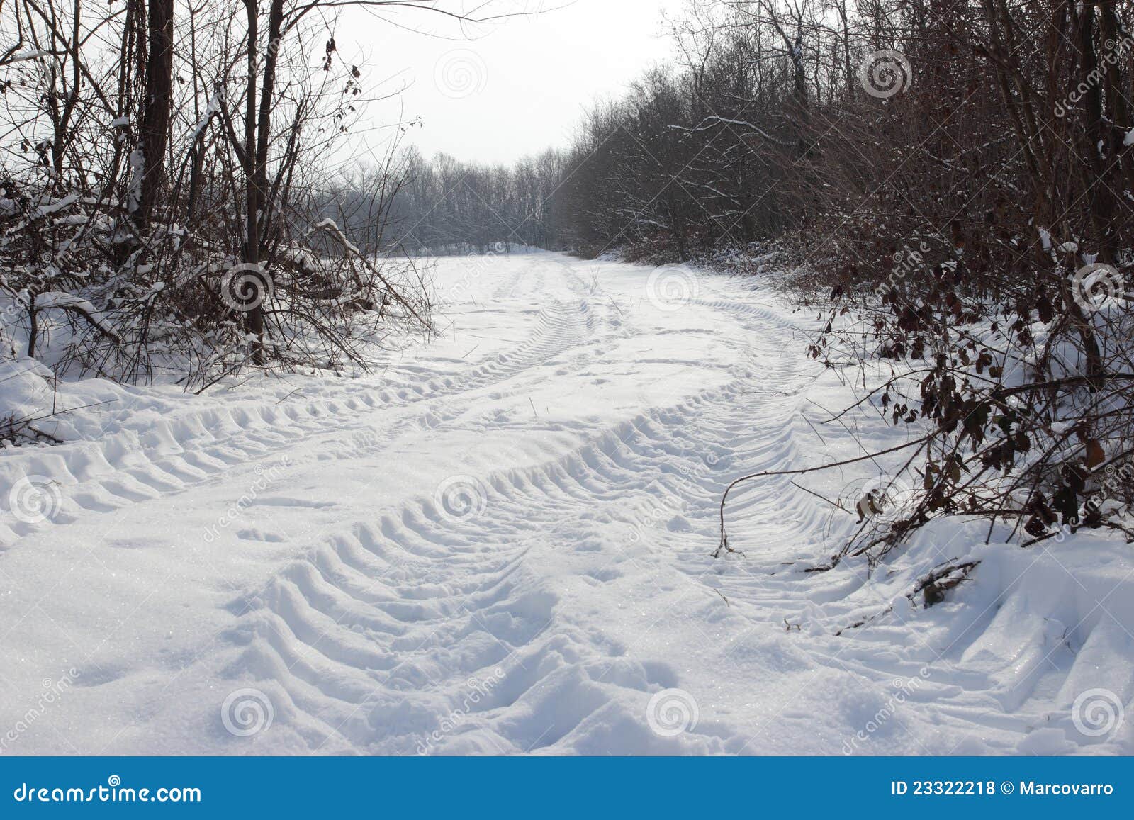 Tracks in the snow stock photo. Image of frozen, daylight - 23322218