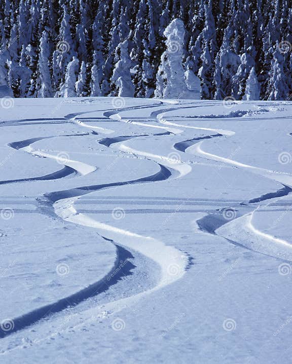 Tracks in snow stock image. Image of piste, slalom, skiing - 3356163