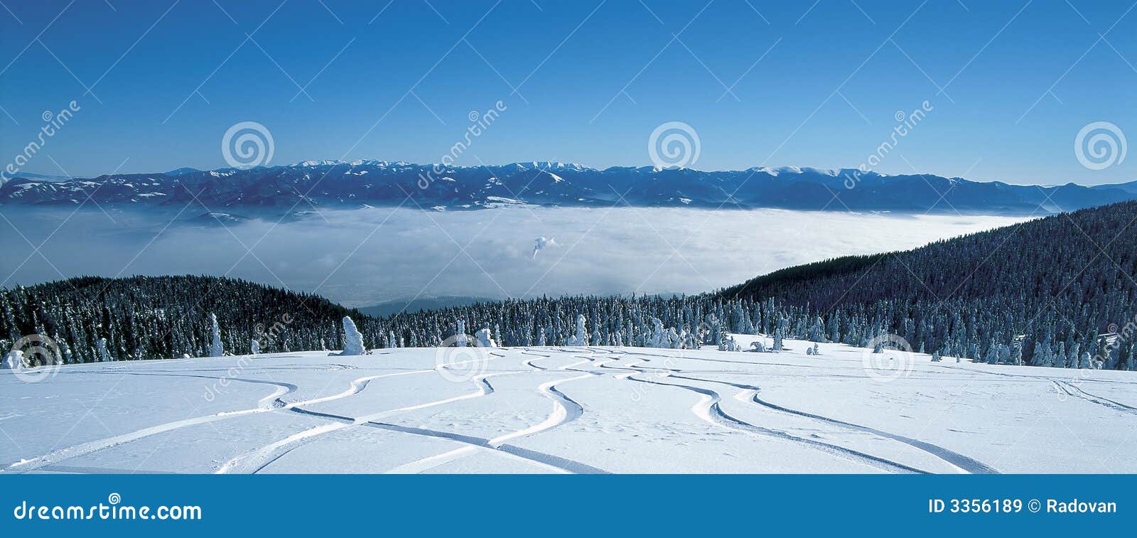 Tracks in snow stock image. Image of skiing, mountain - 3356189