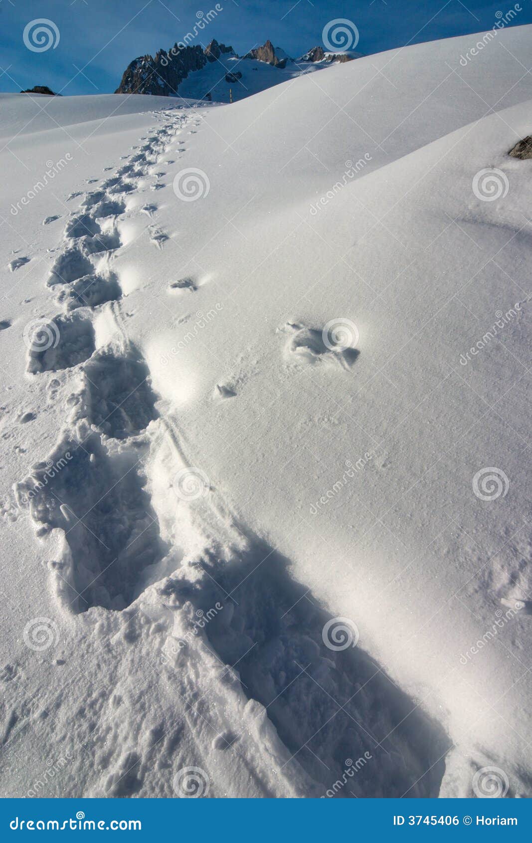 Tracks in the snow stock photo. Image of curves, high - 3745406