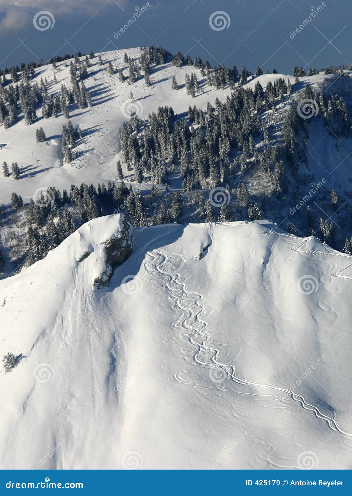 Tracks in the snow stock image. Image of trees, altitude - 425179