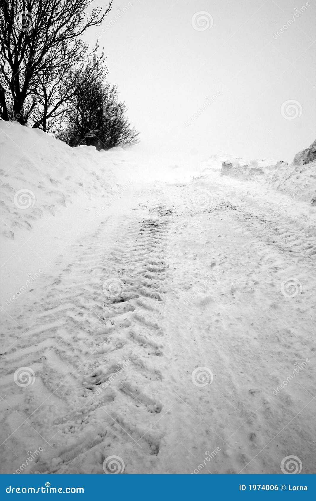 Tracks on Snow Covered Road Stock Photo - Image of distance, marks: 1974006