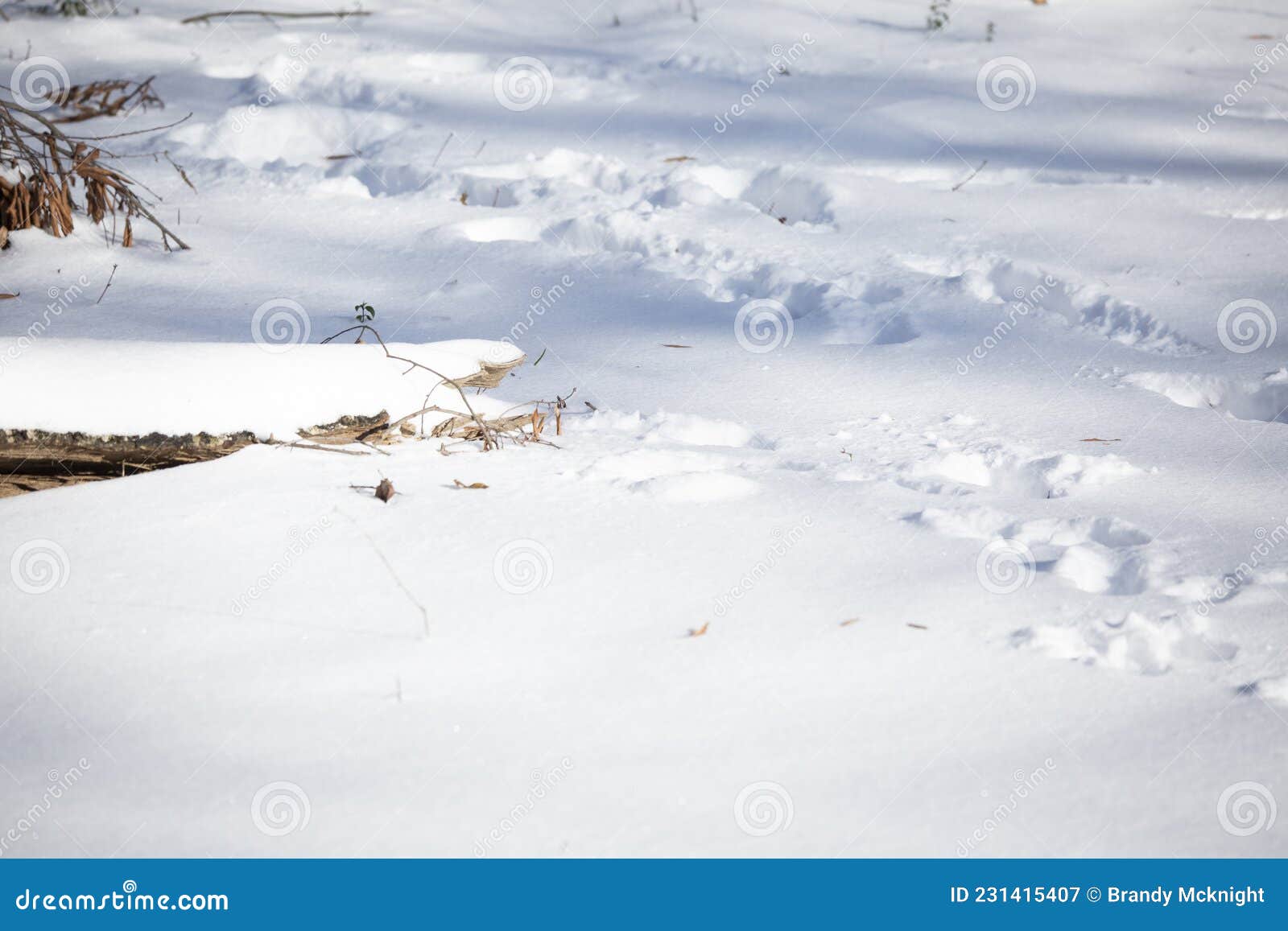 Tracks in the Snow stock image. Image of route, deep - 231415407